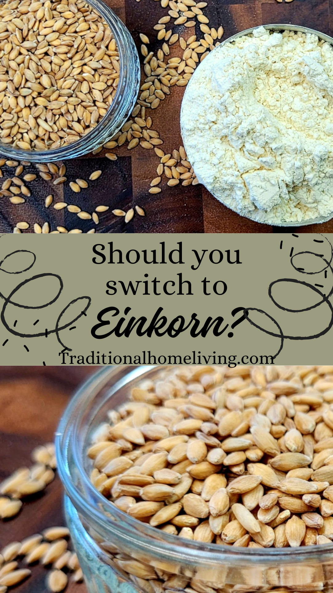 Should Einkorn be in Your Kitchen? - Traditional Home Living
