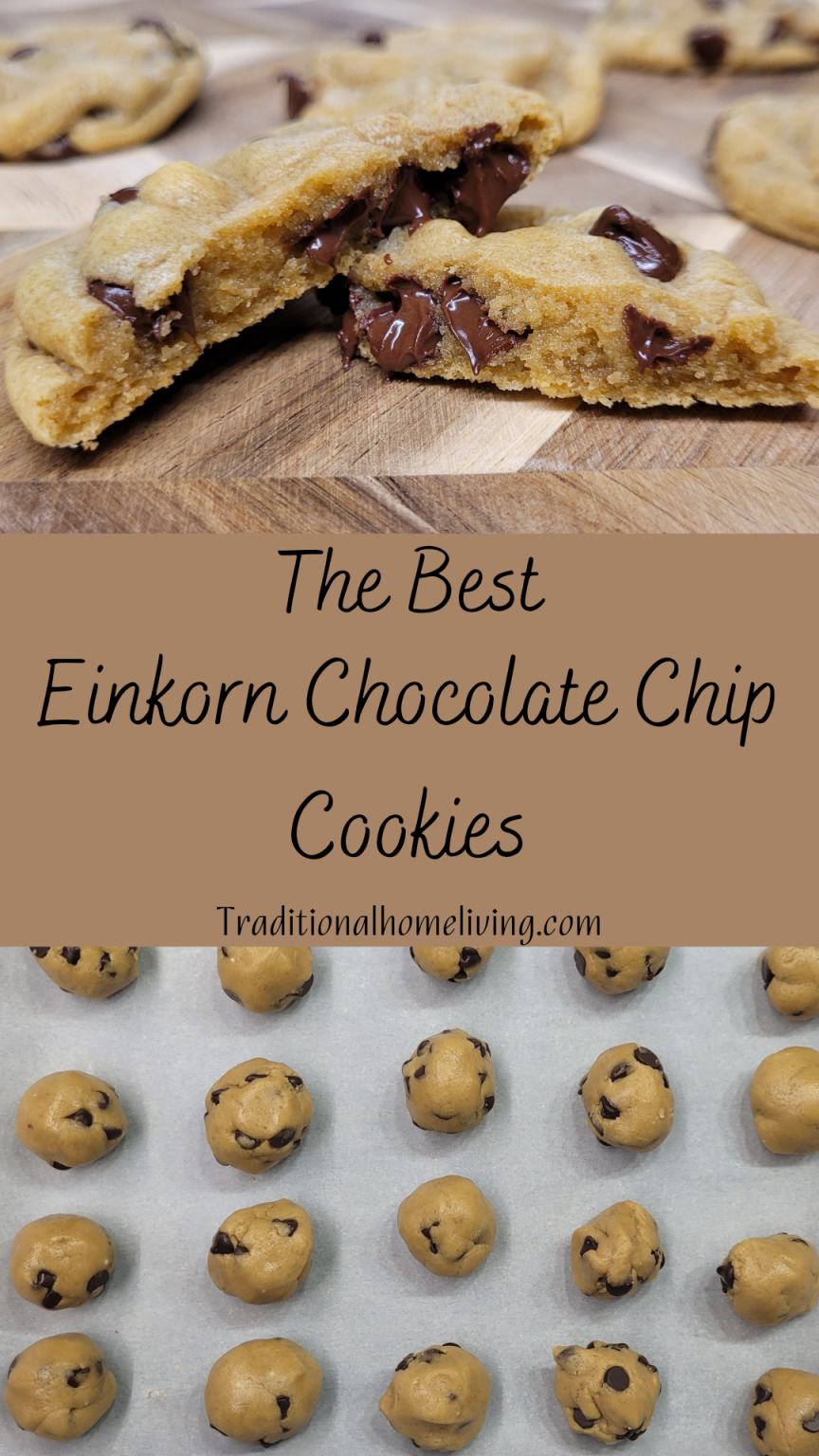 The Best Einkorn Chocolate Chip Cookies Recipe - Traditional Home Living