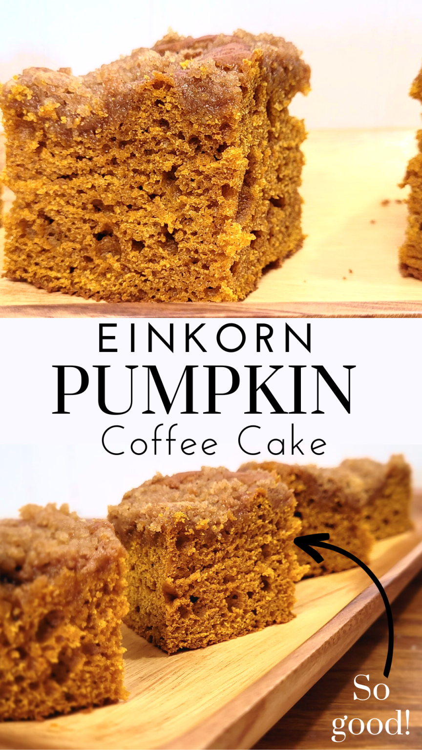 Einkorn Pumpkin Coffee Cake - Traditional Home Living